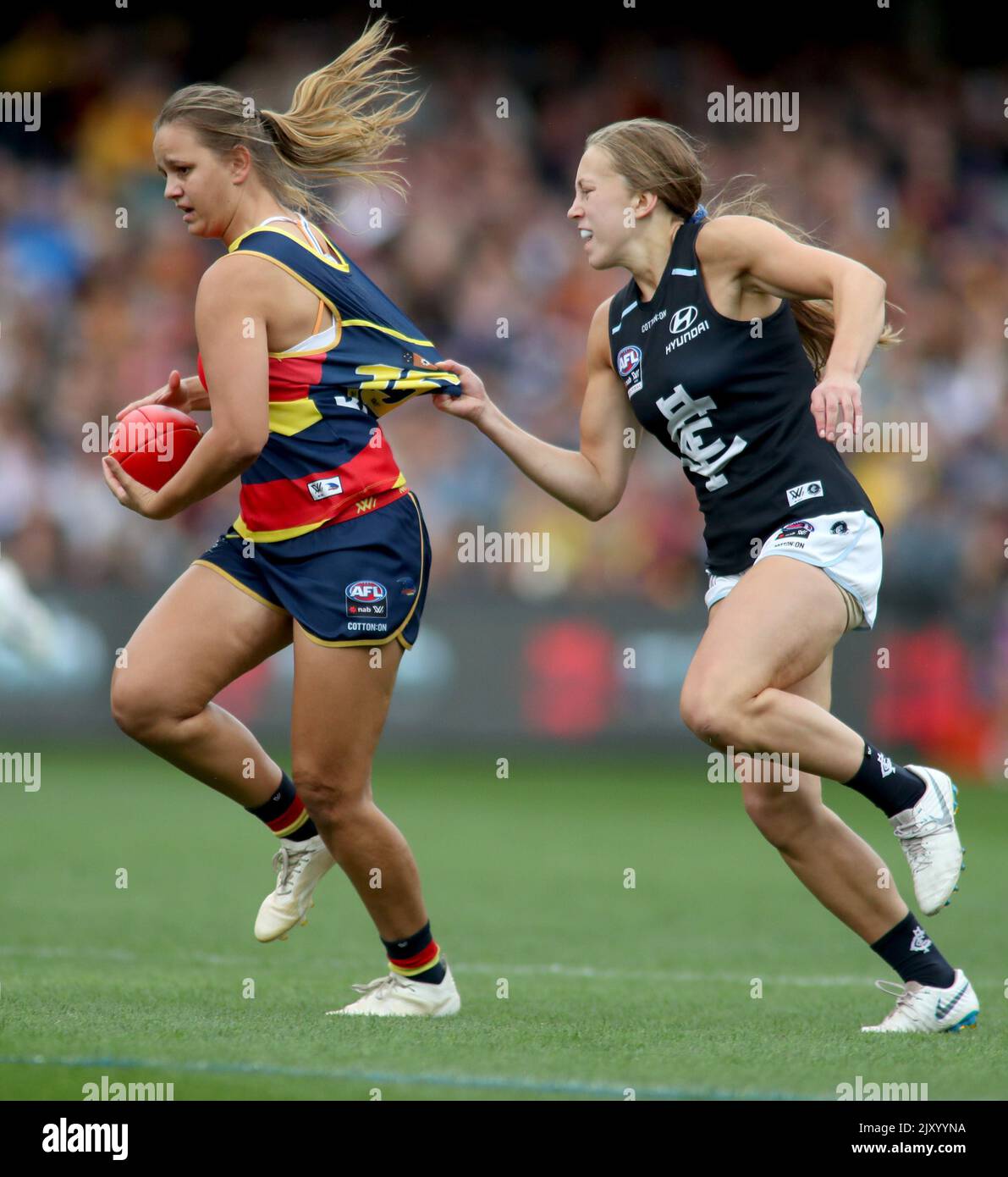 Charlotte Wilson des Bleus s'attaque à Aillish Considine des Crows lors ...