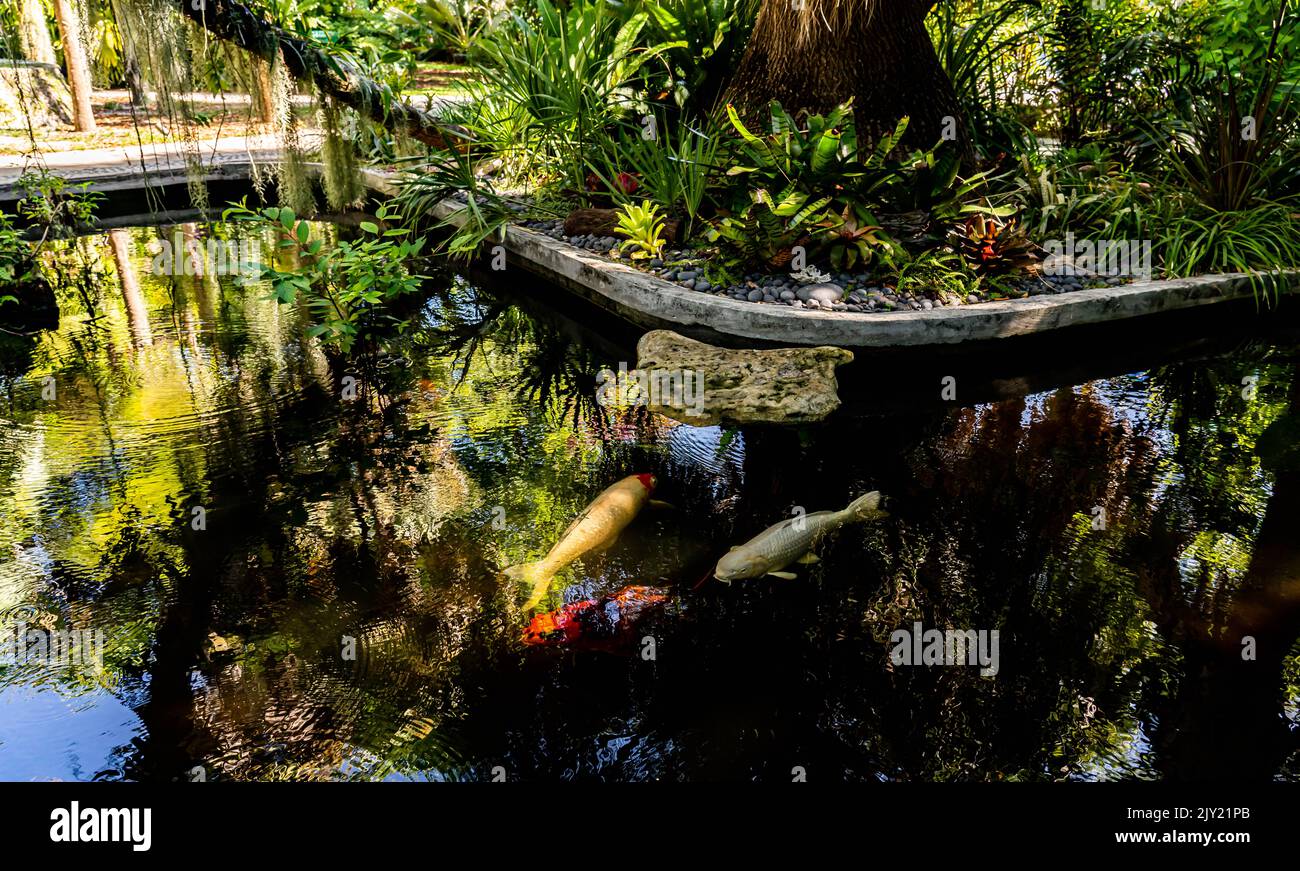 Meilleures attractions de la floride Banque de photographies et d ...
