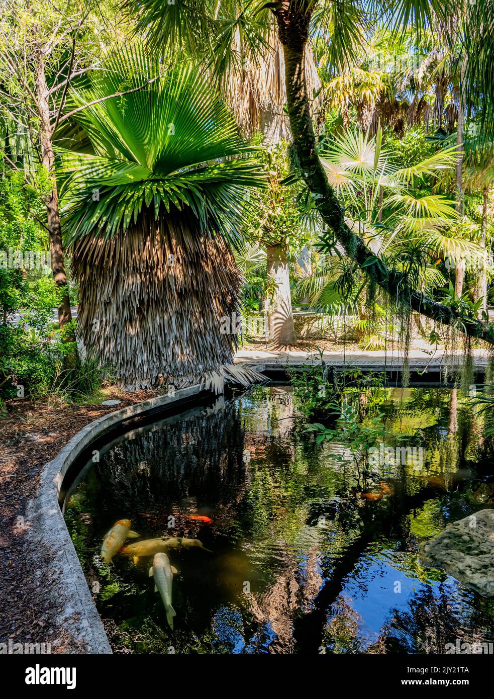 Meilleures attractions de la floride Banque de photographies et d ...