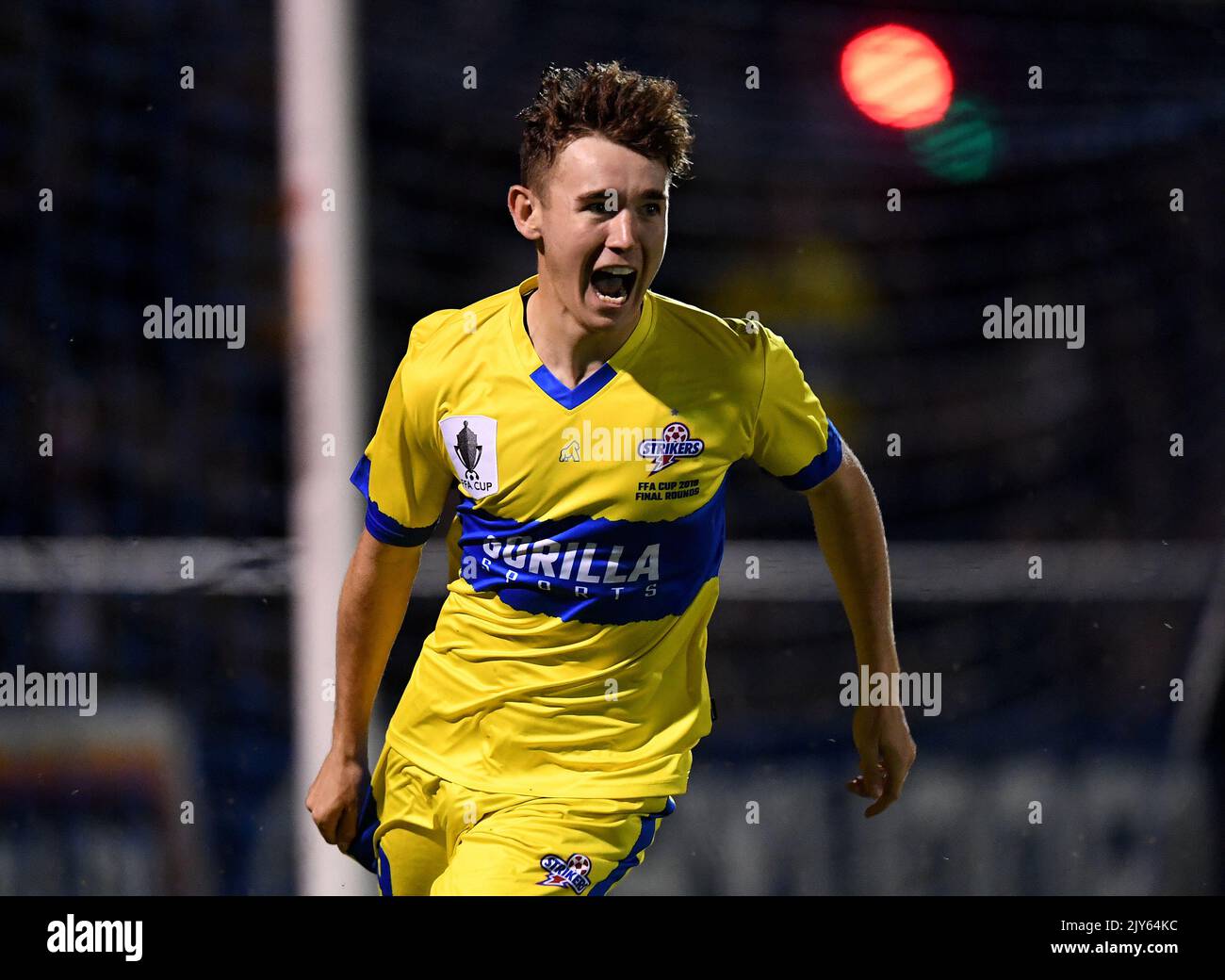 Andrew Pengelly, des grévistes, célèbre un but lors du match de demi ...