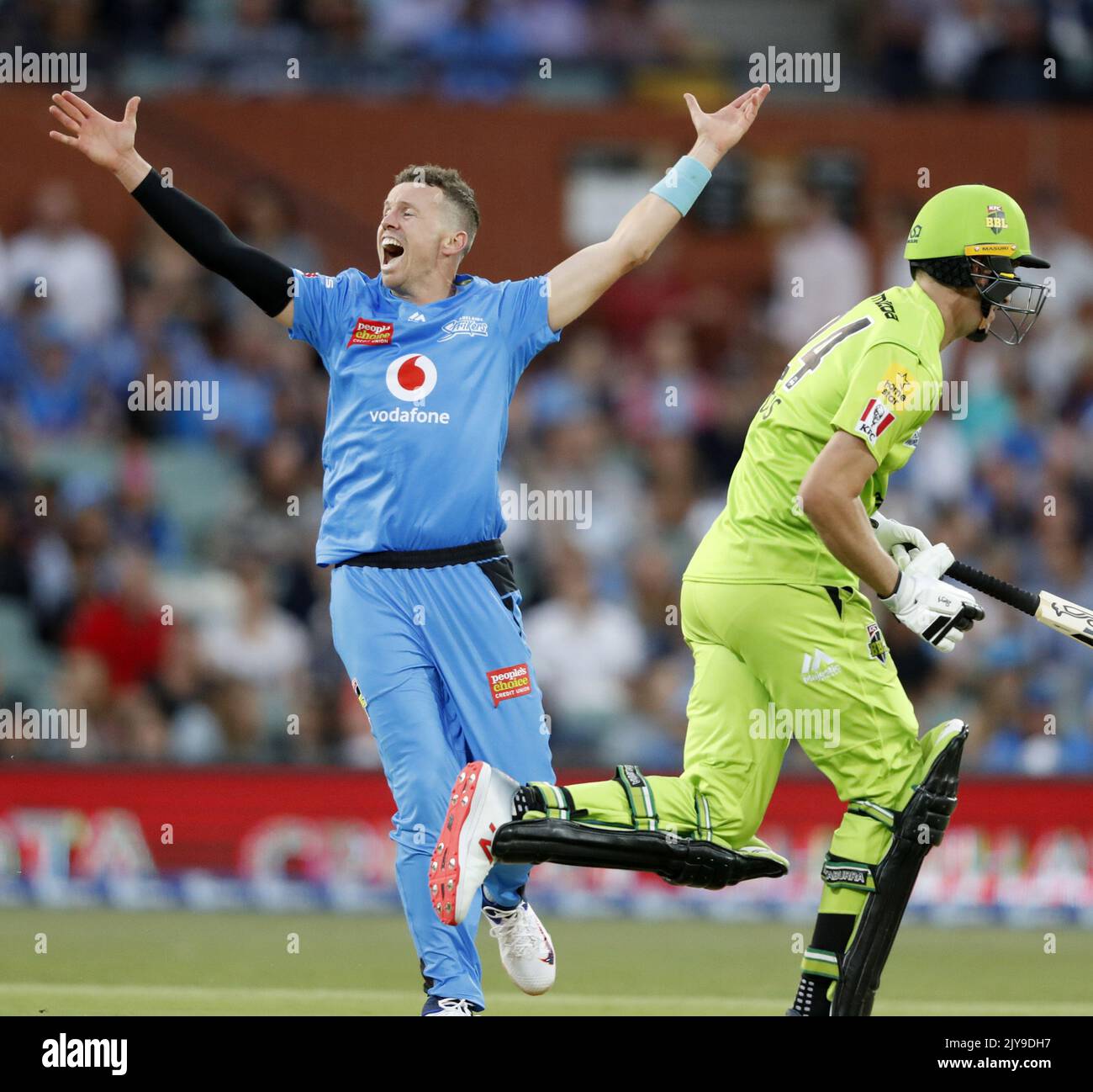 Peter Siddle, des grévistes, célèbre le cricket de Daniel Sams of the ...