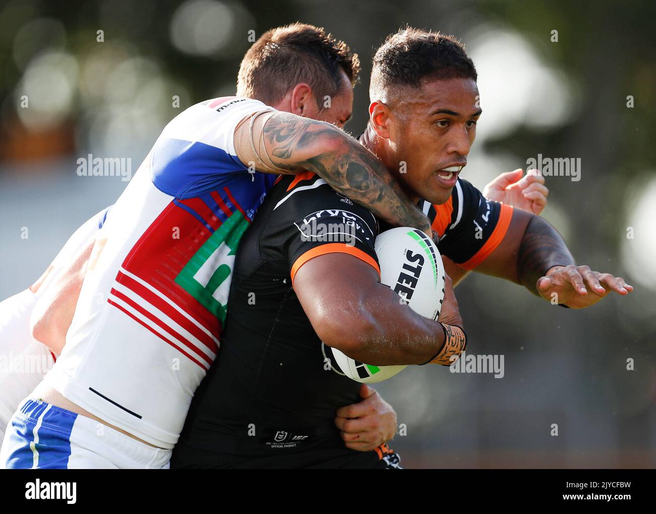 Michael Chee-Kam des Tigres est attaqué par Mitchell Pearce des ...