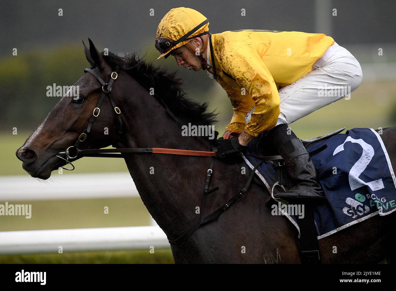 Le jockey Jason Collett conduit Baanone à la victoire dans la course 4 ...