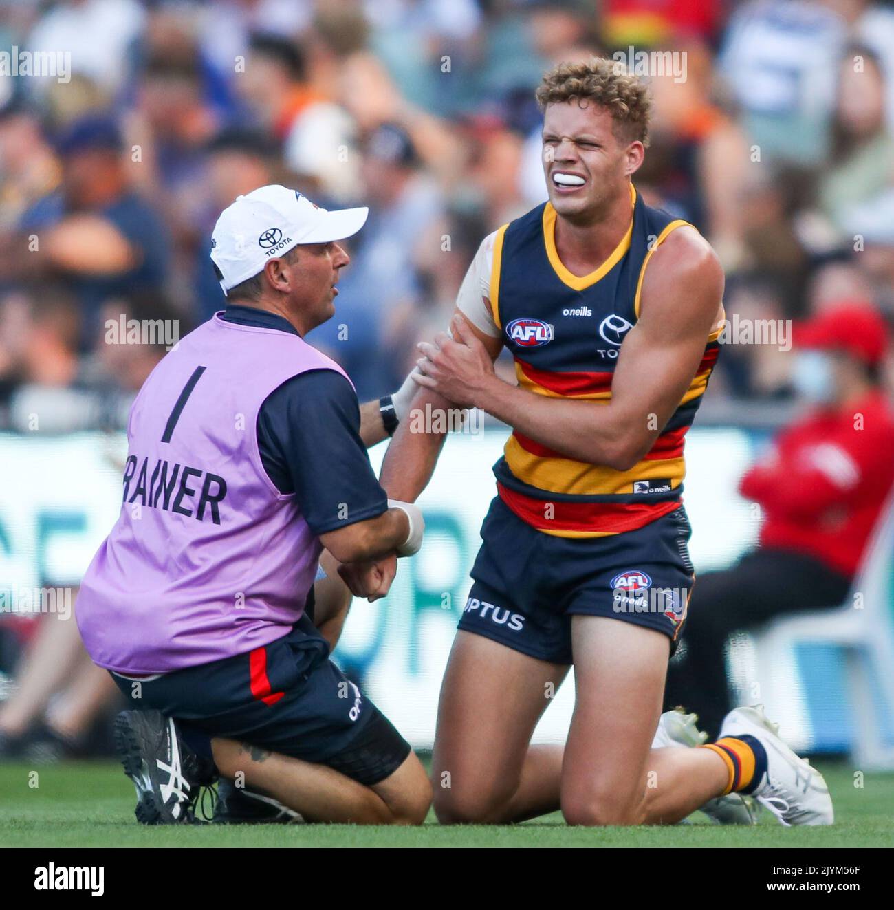 Mitchell Hinge of the Crows semble avoir délogé son épaule lors du ...