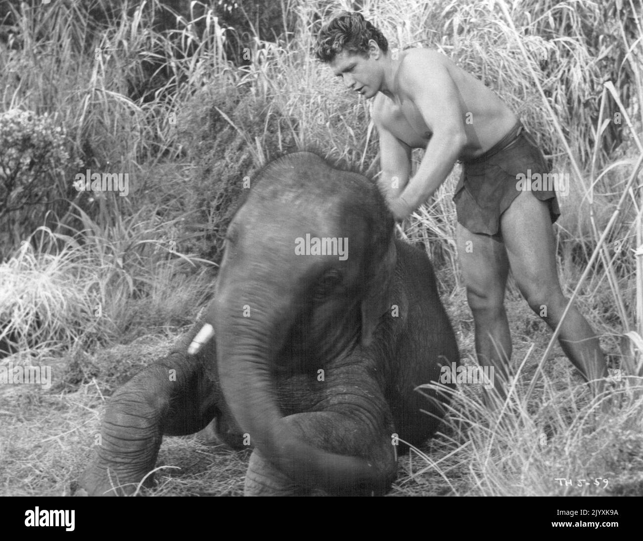 Tarzan gordon scott Banque de photographies et d’images à haute ...