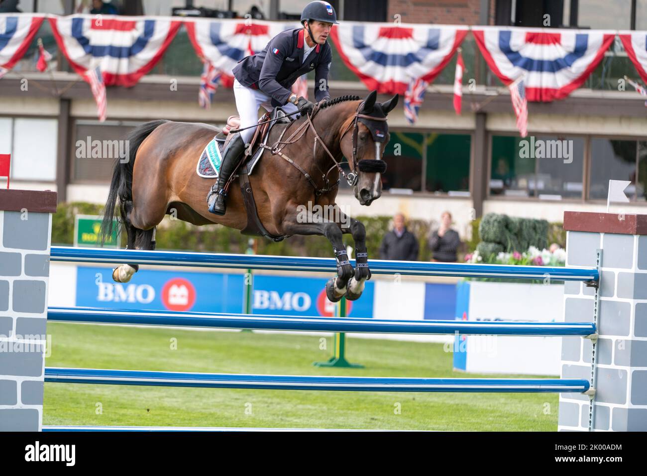 Cheval visconti du telman Banque de photographies et d’images à haute ...