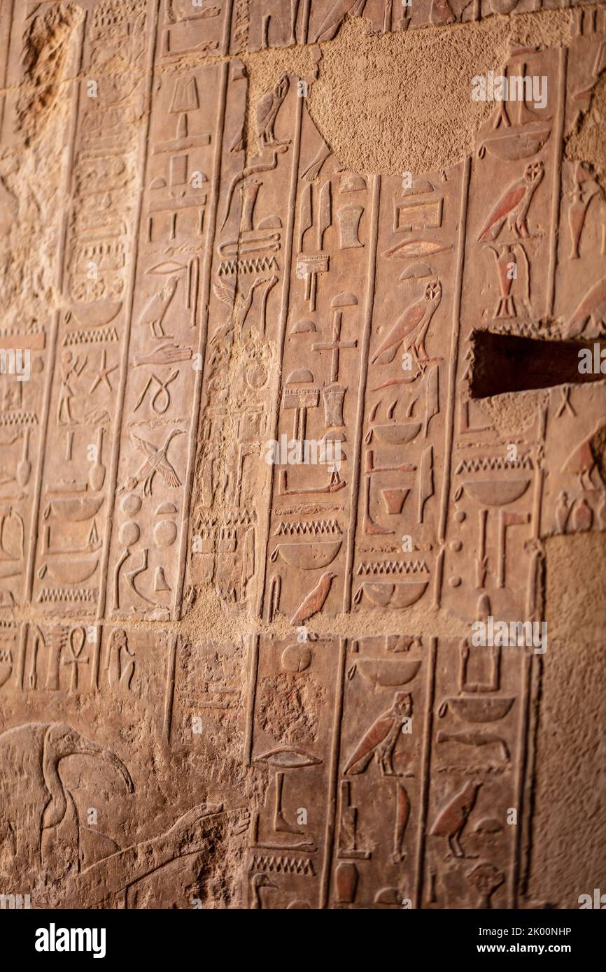 Belle murale, hiéroglyphes à l'intérieur du temple de Hatshepsut. Jeser ...