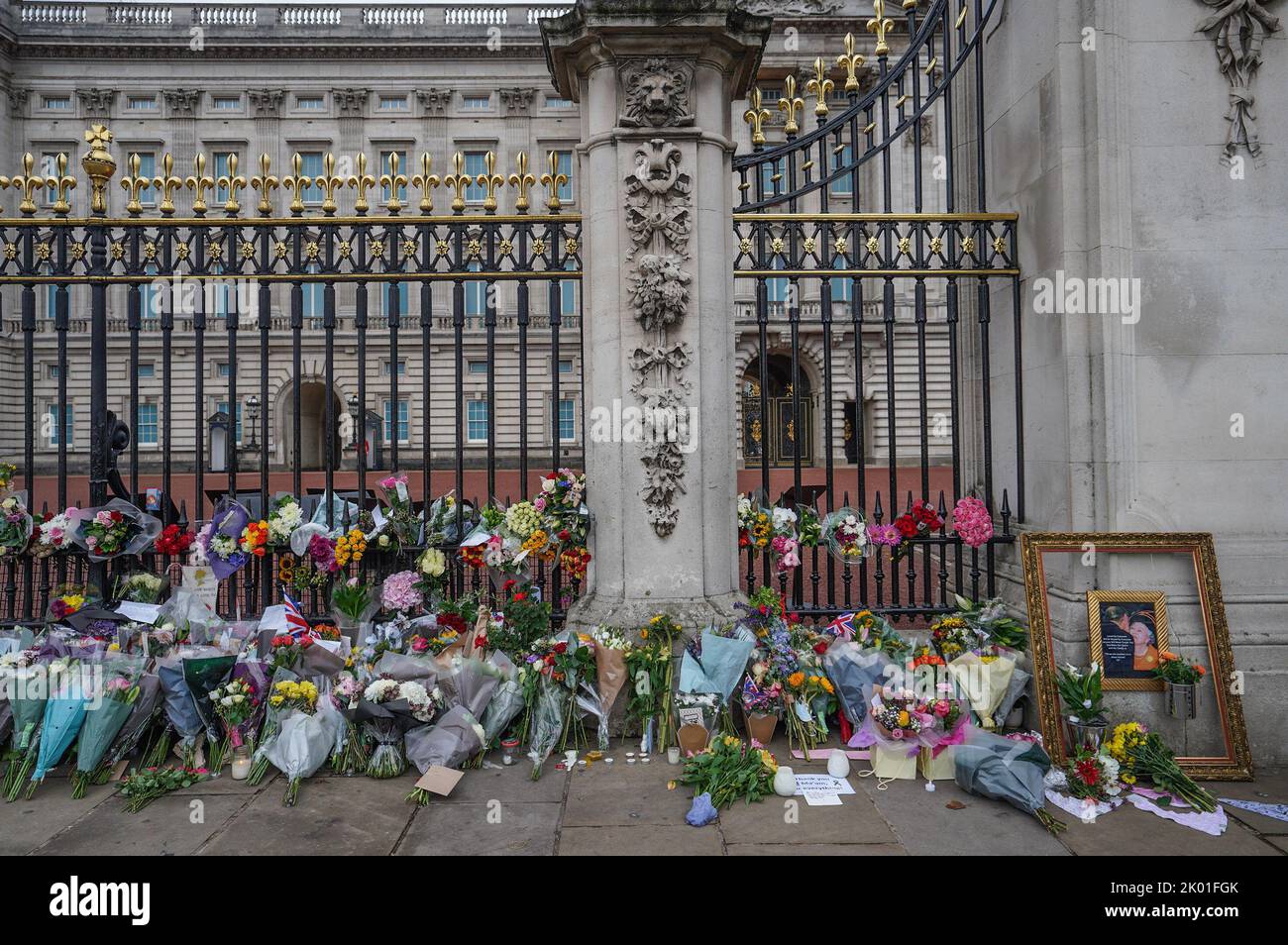 Reines fleurs palais de buckingham Banque de photographies et d’images ...