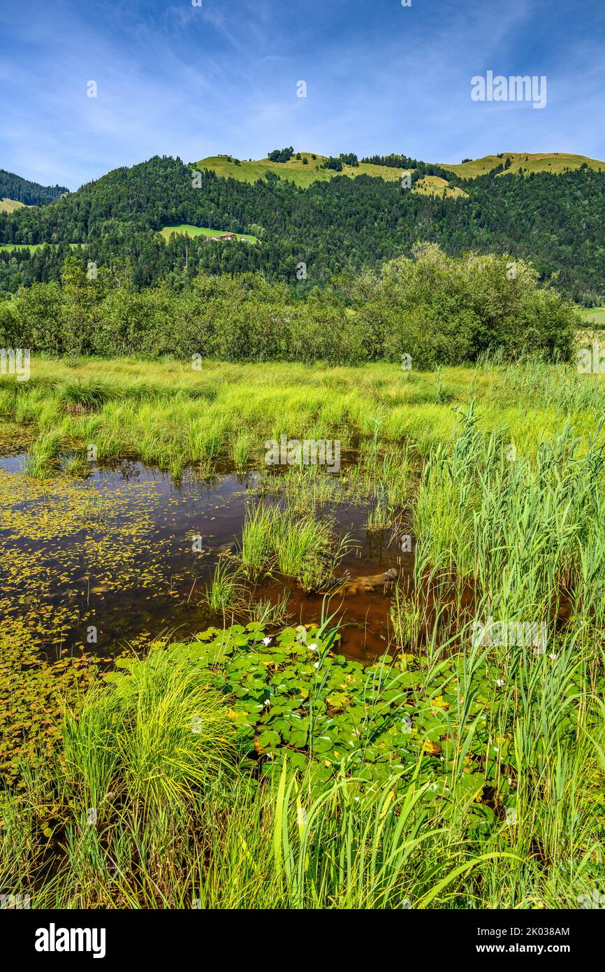 Autriche, Tyrol, Kaiserwinkl, Walchsee, Schwaigs, Landes de Schwemm ...