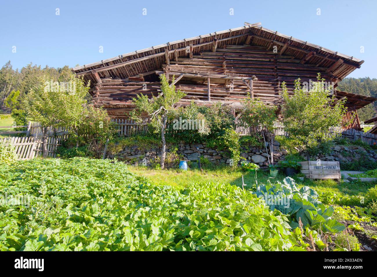 Jardin potager en face de la grange de la ferme de montagne dans la ...