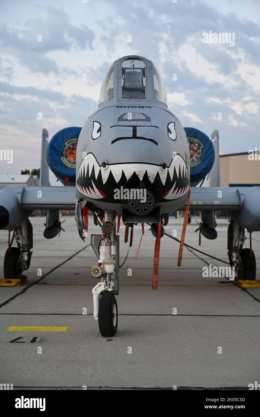 La 124th Fighter Wing accueille Hawgfume 2022 à Gowen Field, Boise ...