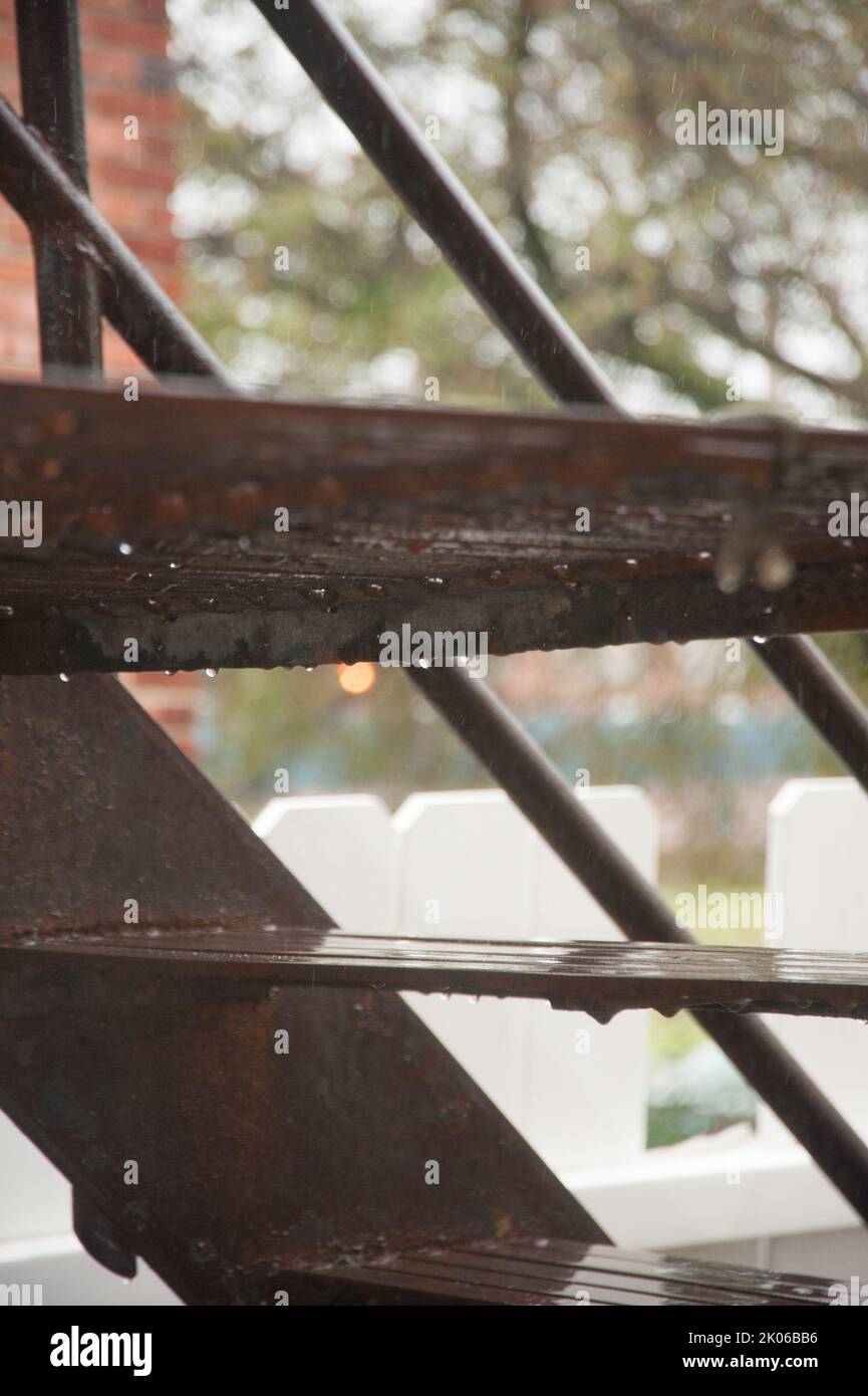 Activités de développement bénévole pour la Journée mondiale de l ...