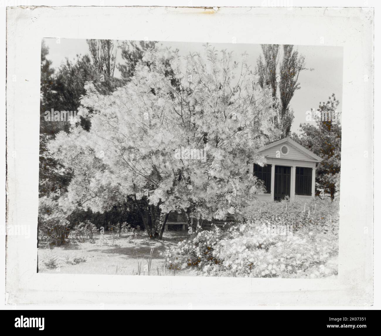 « Belvoir », Fairfax Harrison House, Star route 709, The Plains ...