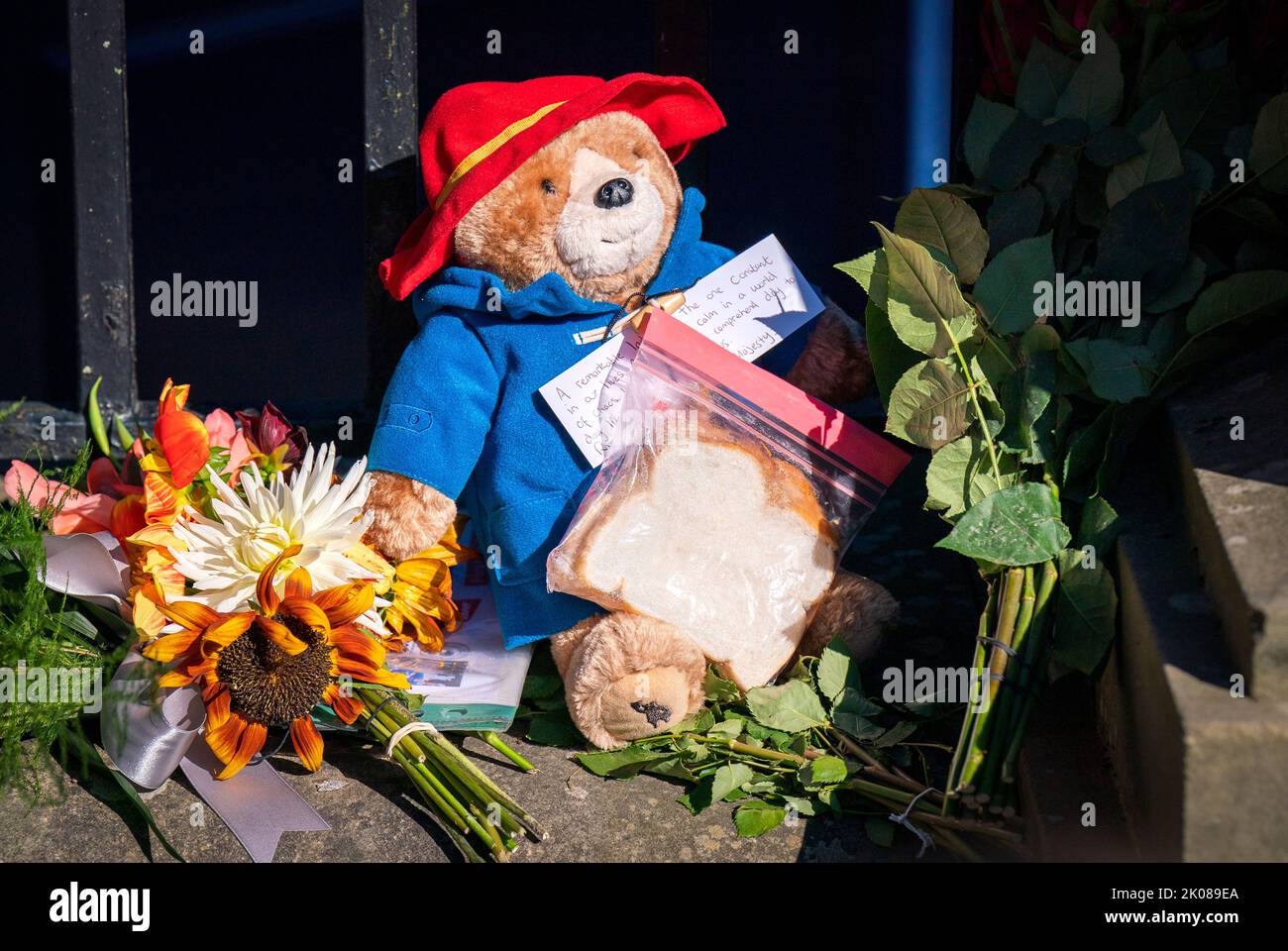Ours paddington reine elizabeth ii Banque de photographies et d’images ...