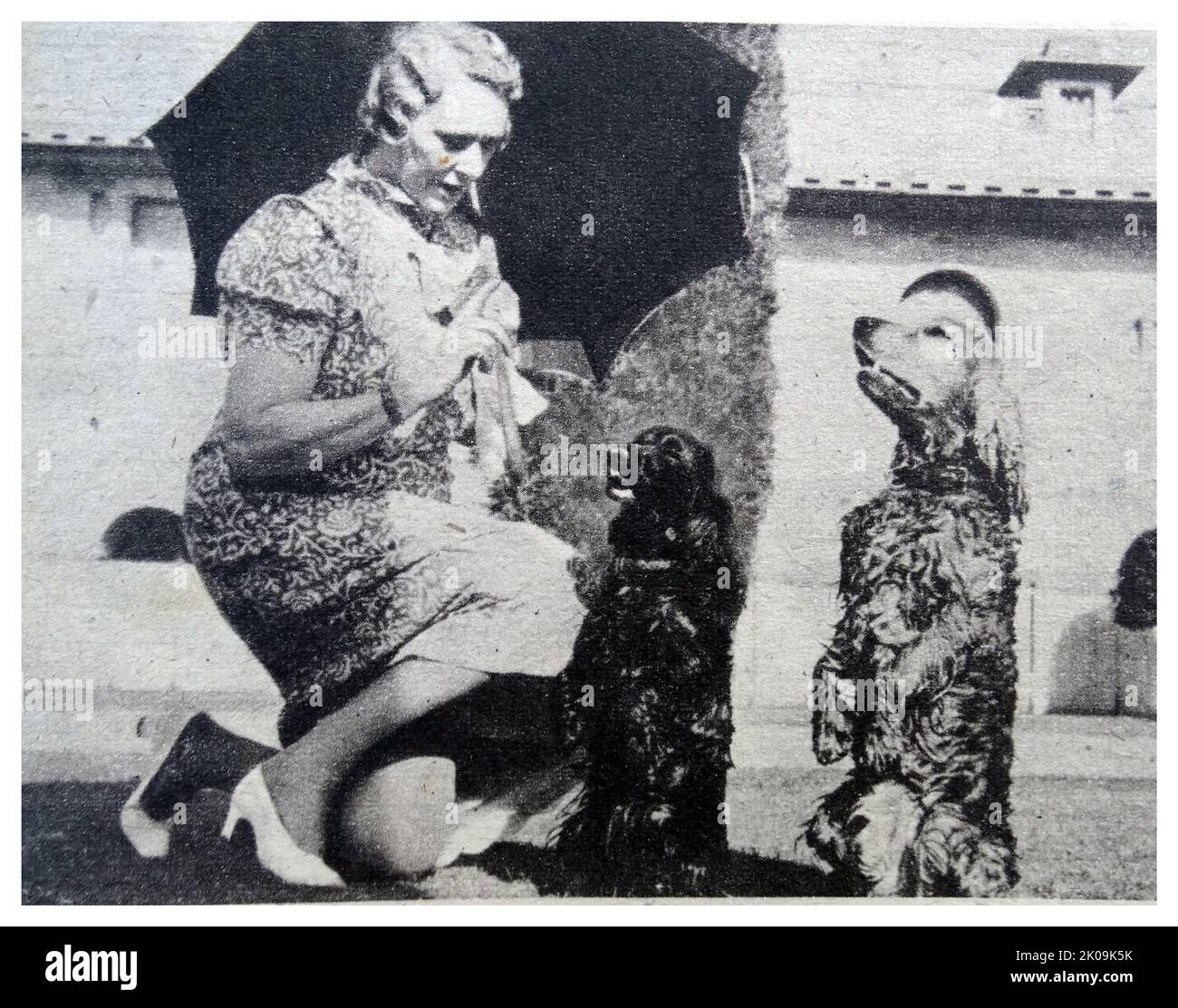 Lady linlithgow Banque de photographies et d’images à haute résolution ...