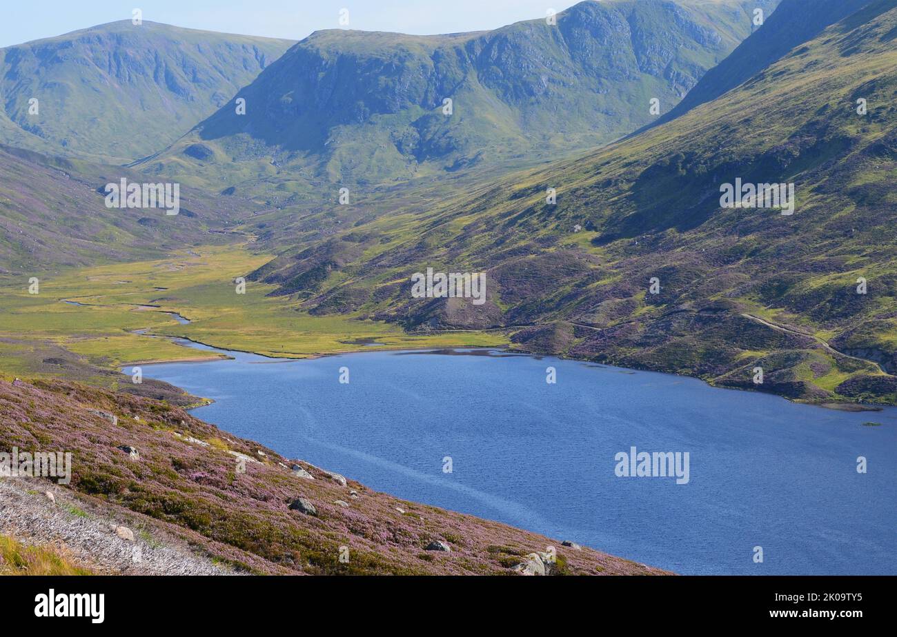 Loch Callater près de Braemar, un site d'intérêt scientifique spécial ...