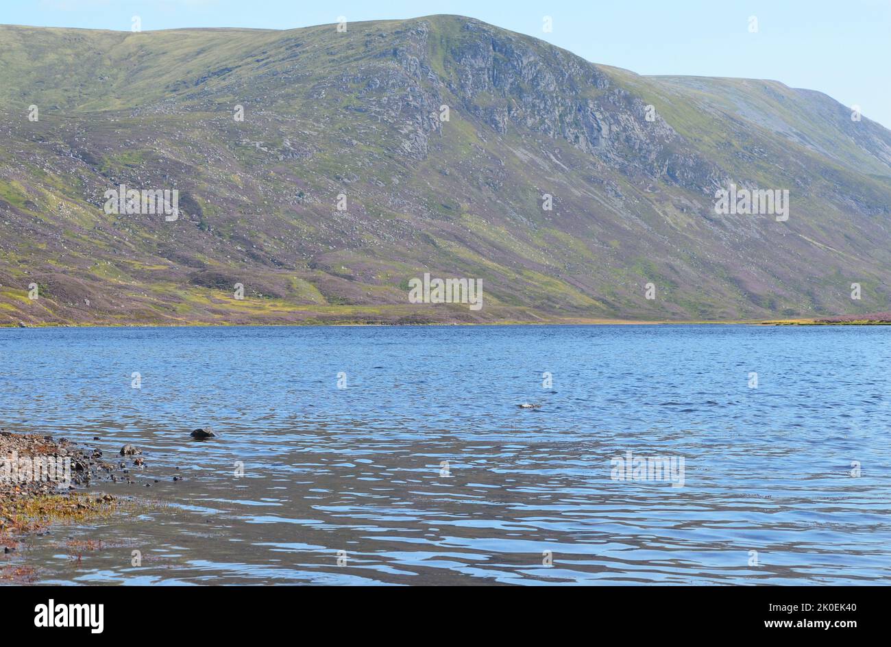 Loch Callater près de Braemar, un site d'intérêt scientifique spécial ...