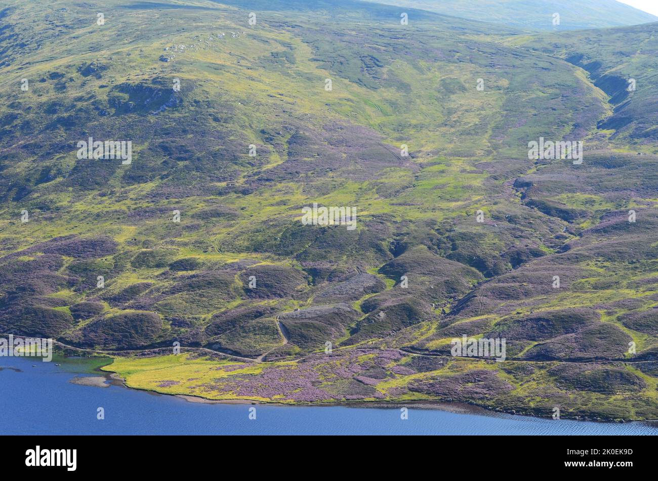 Loch Callater près de Braemar, un site d'intérêt scientifique spécial ...