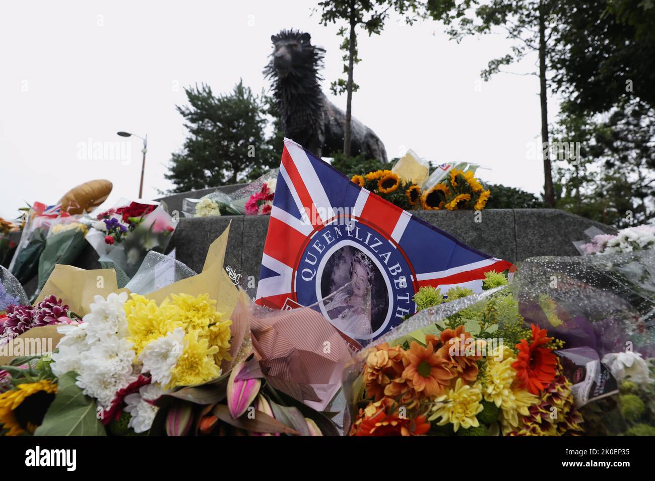 Hommages floraux à la statue d'Aslan, sur la place CS Lewis à l'est de ...