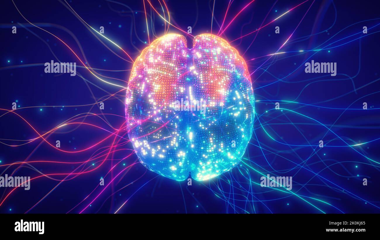 Les Connexions Numériques Du Cerveau Se Propagent Intelligence