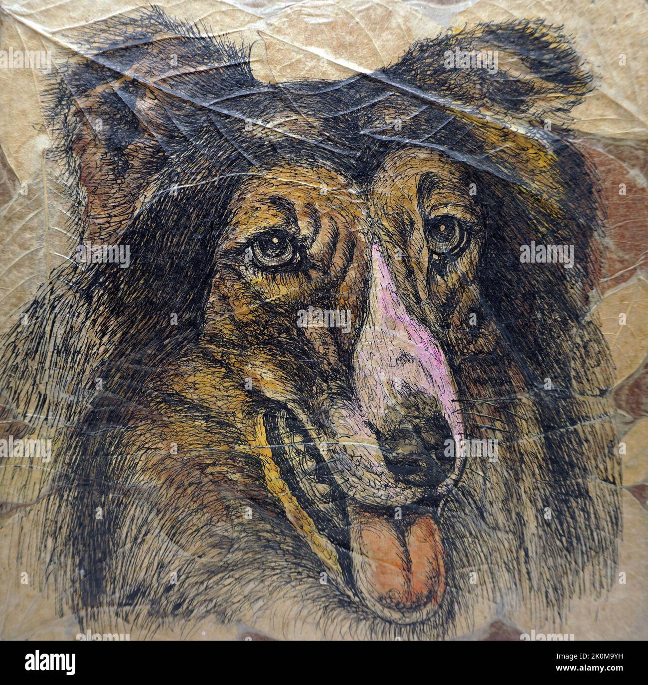 Dessin de chien a colorier Banque de photographies et d’images à haute ...