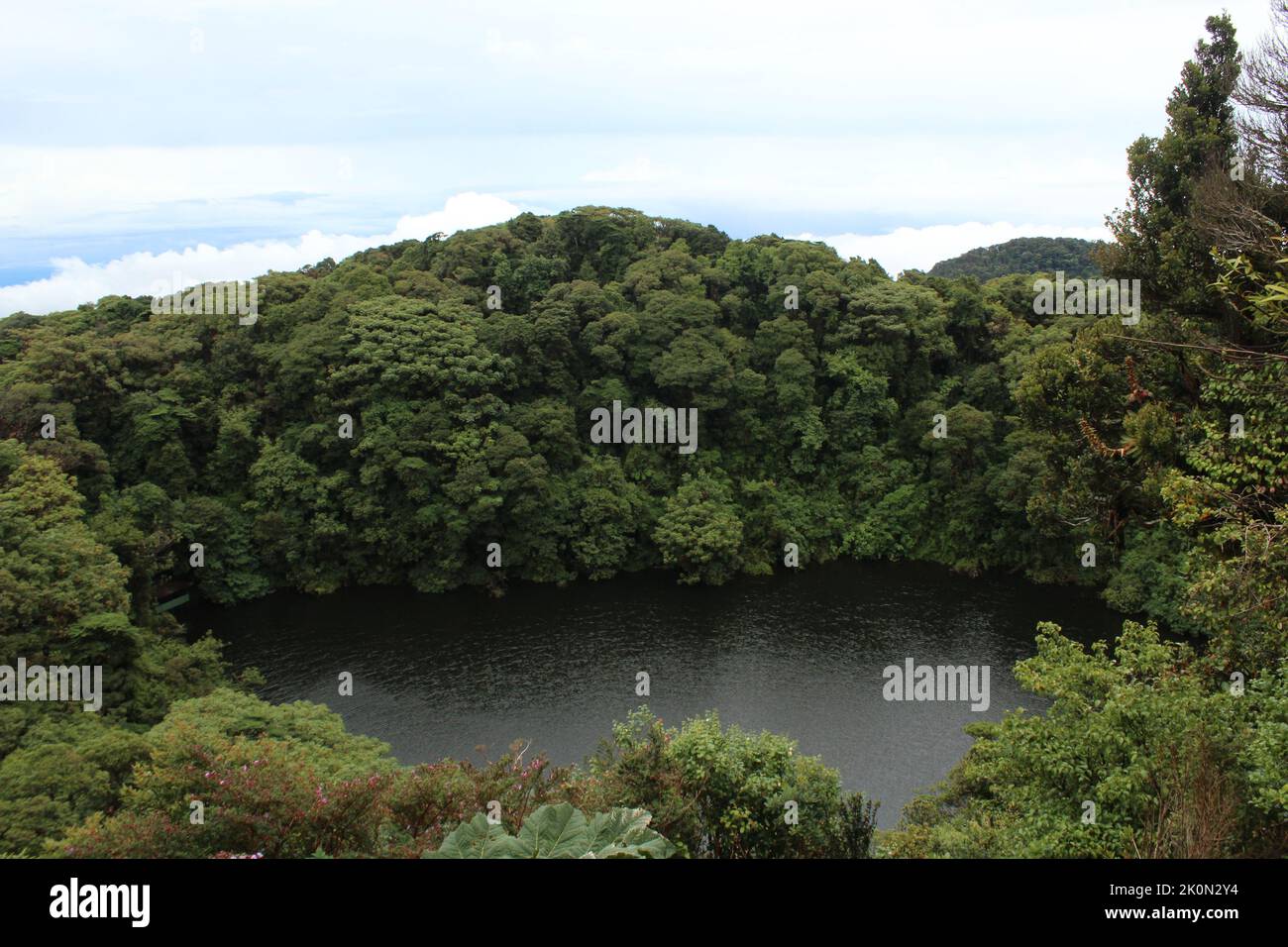 Parc national braulio carrillo Banque de photographies et d’images à ...