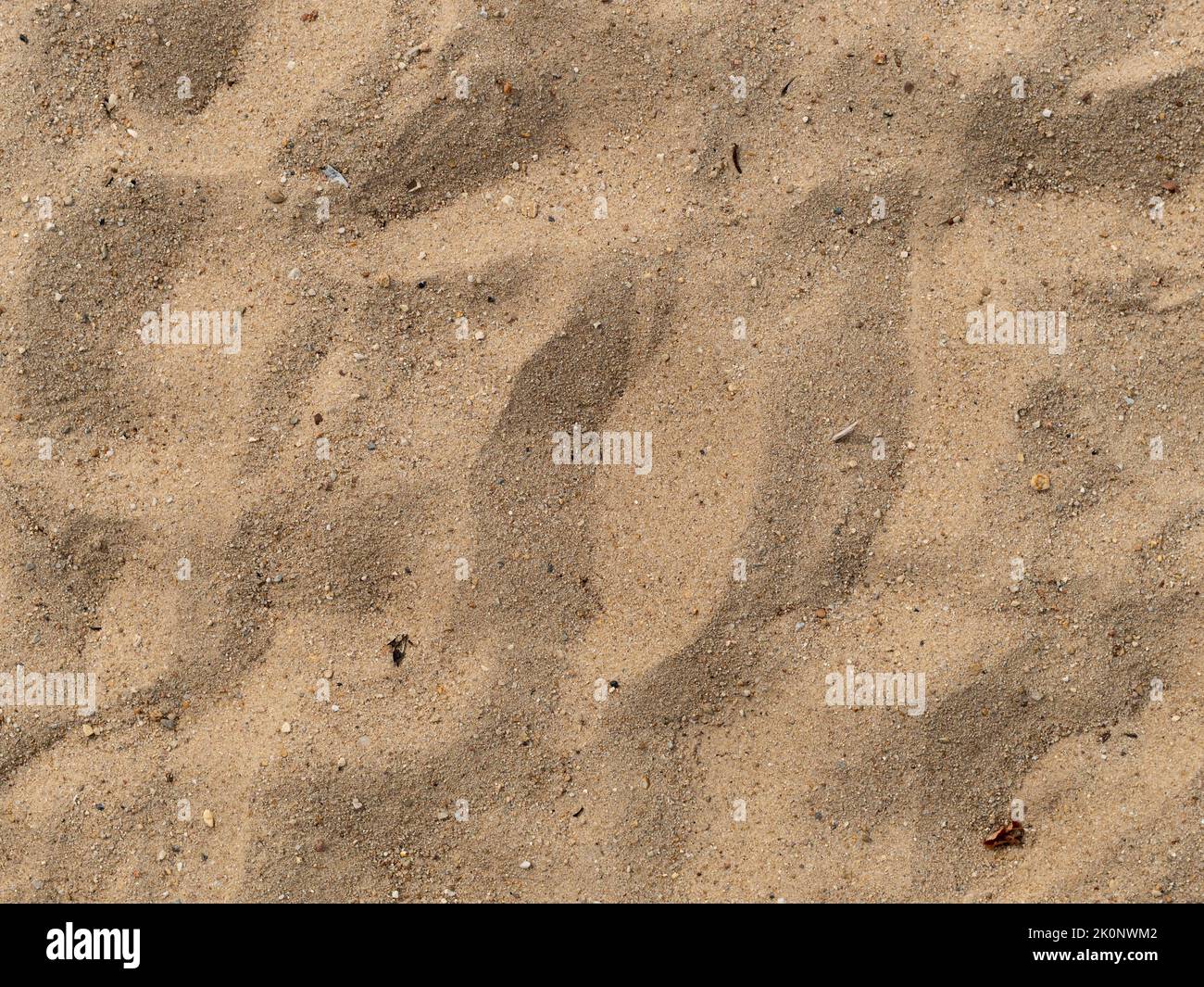 Fond de texture sable. Plage de sable avec beaucoup de grains. Matière ...