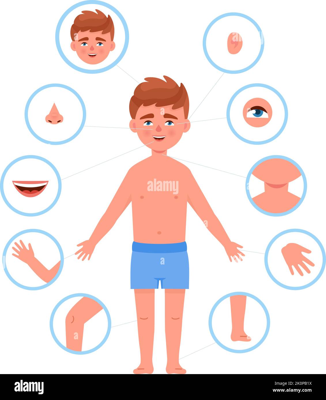 Parties de corps d'enfant. Enfant anatomie humaine découpe partie école ...