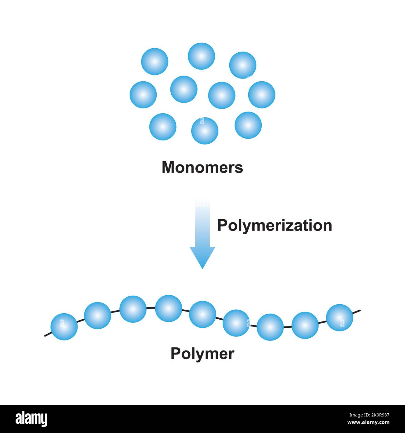 Conception scientifique de la réaction de polymérisation. Conversion ...