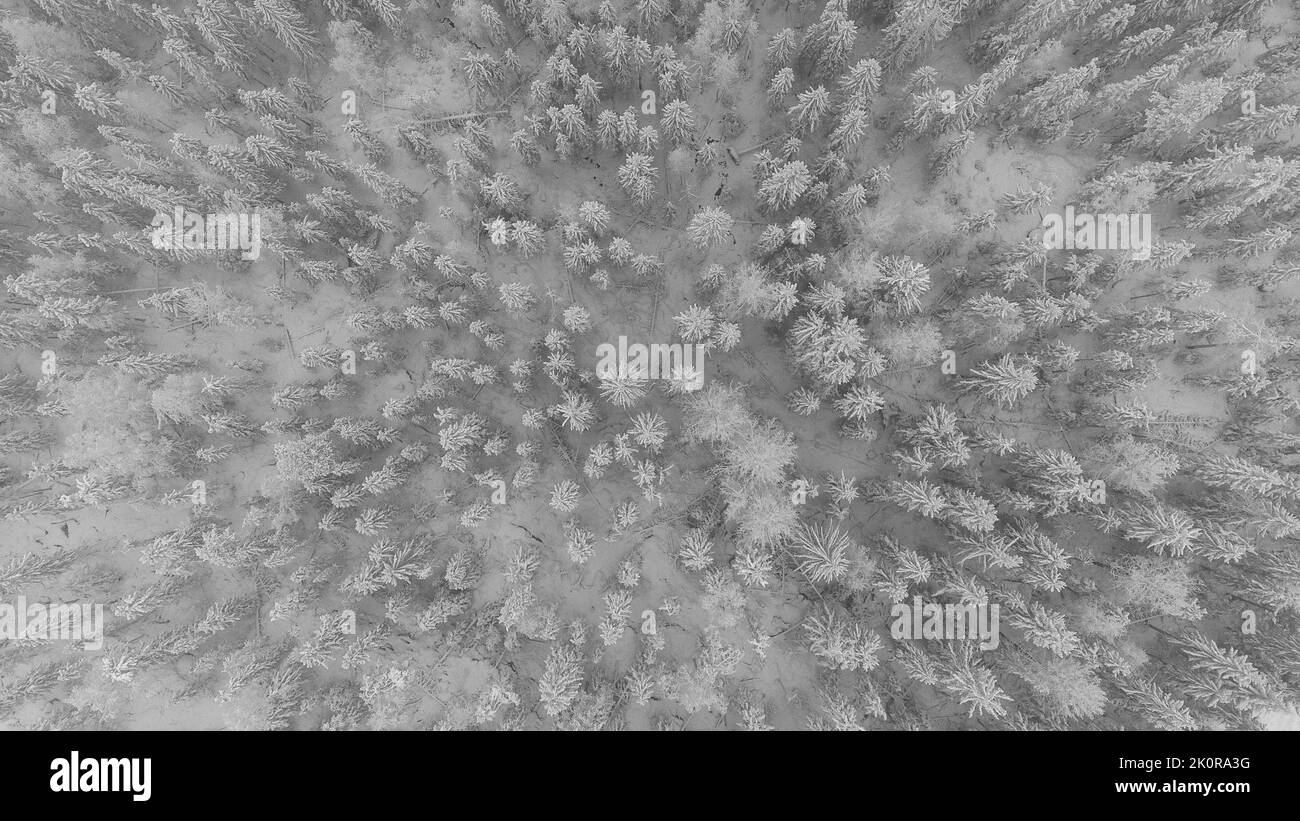 à sotkamo dans la région de kainuu Banque d'images noir et blanc - Alamy