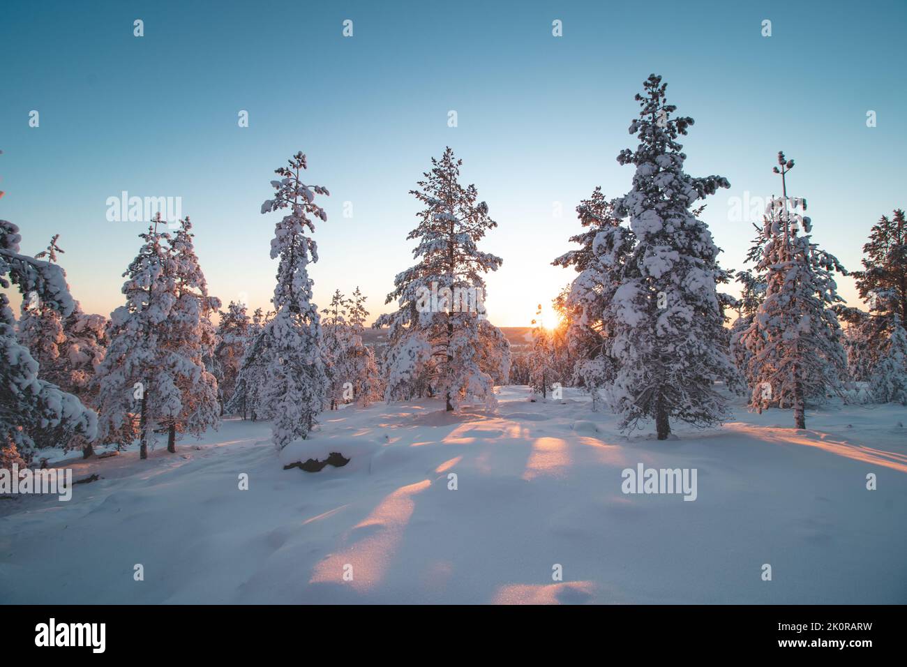 La toundra finlandaise Banque de photographies et d’images à haute ...
