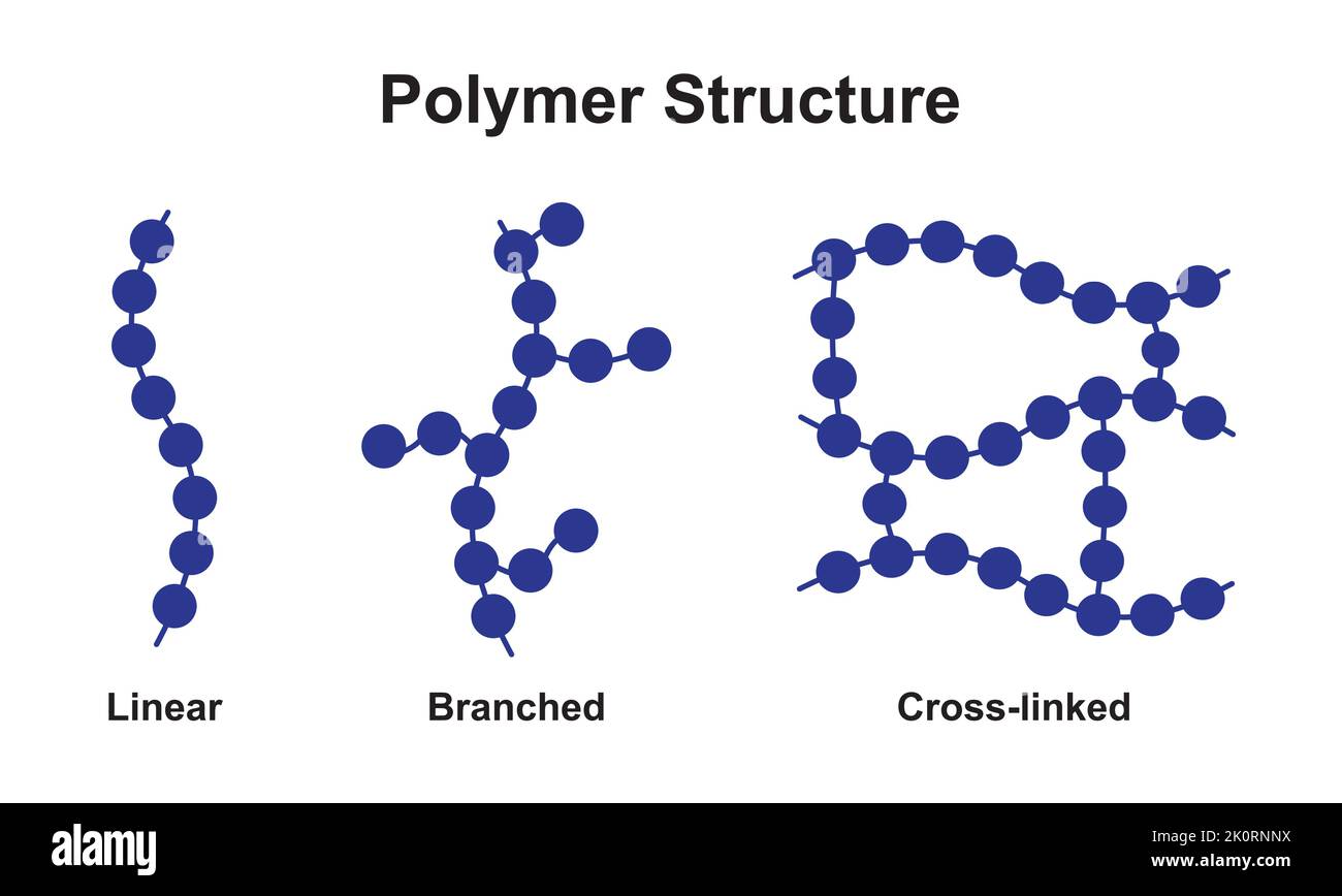 Conception scientifique de la classification de la structure des polymères. Polymère et ses ...