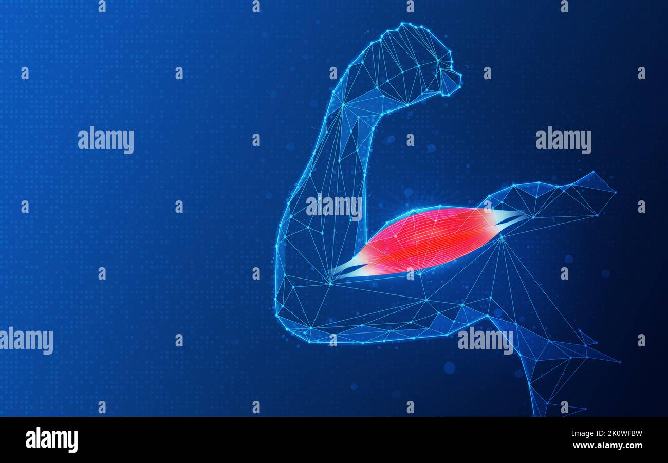 Génie tissulaire et médecine régénérative - domaine du génie biomédical ...