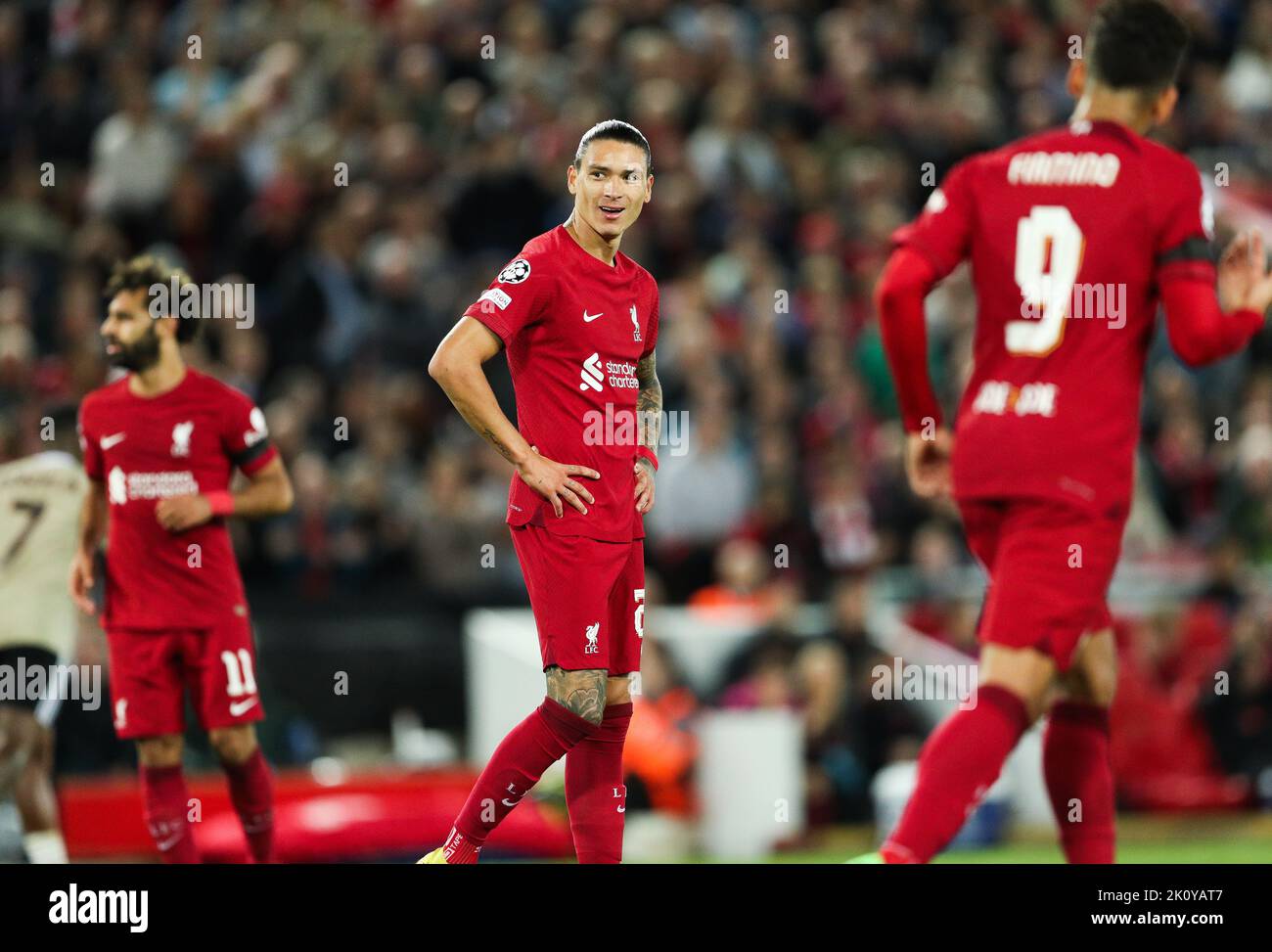 Darwin nunez de liverpool Banque de photographies et d’images à haute ...