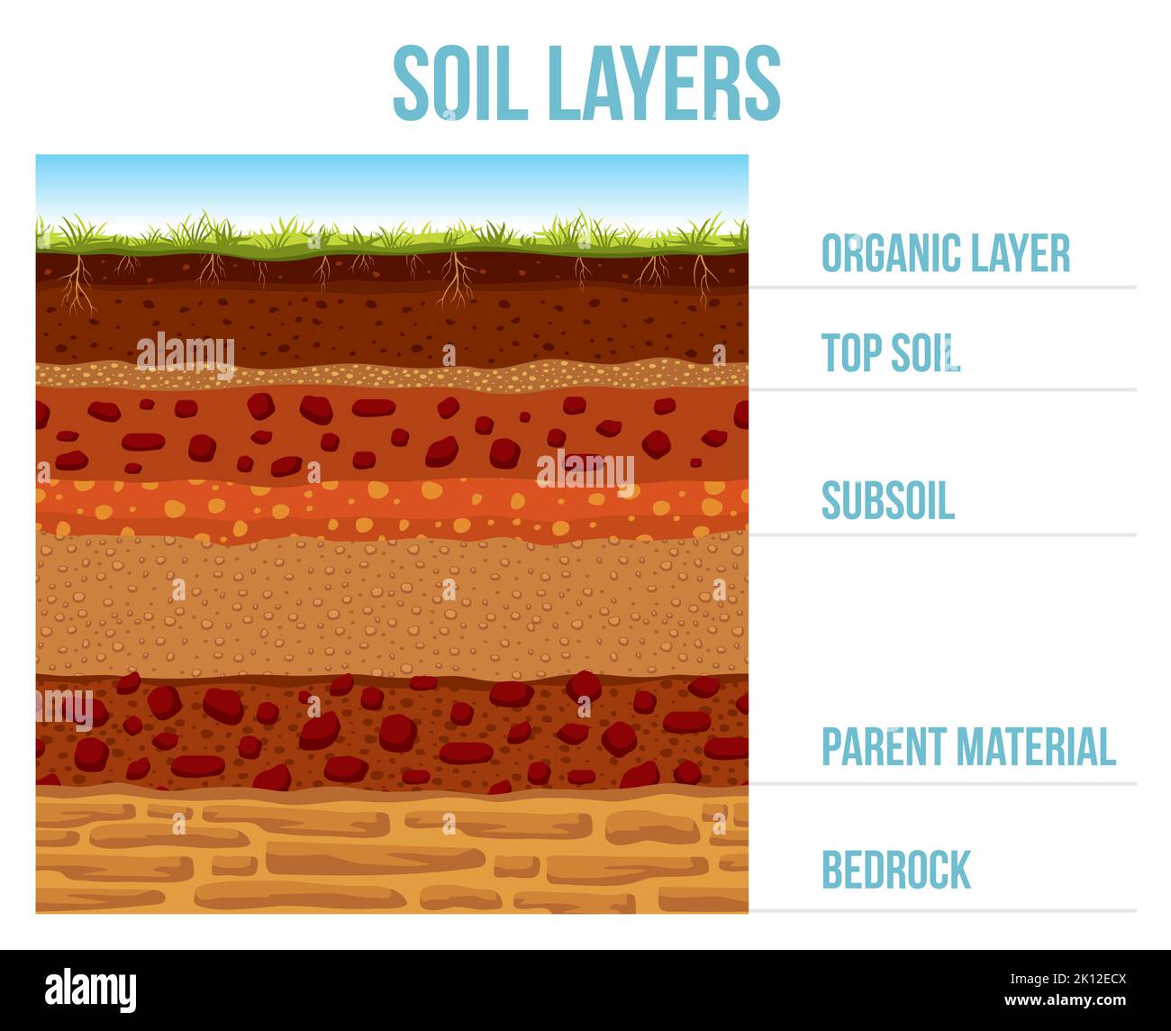 Infographie sur la couche de sol, formation géologique de la terre, substrat, matériau parent ...
