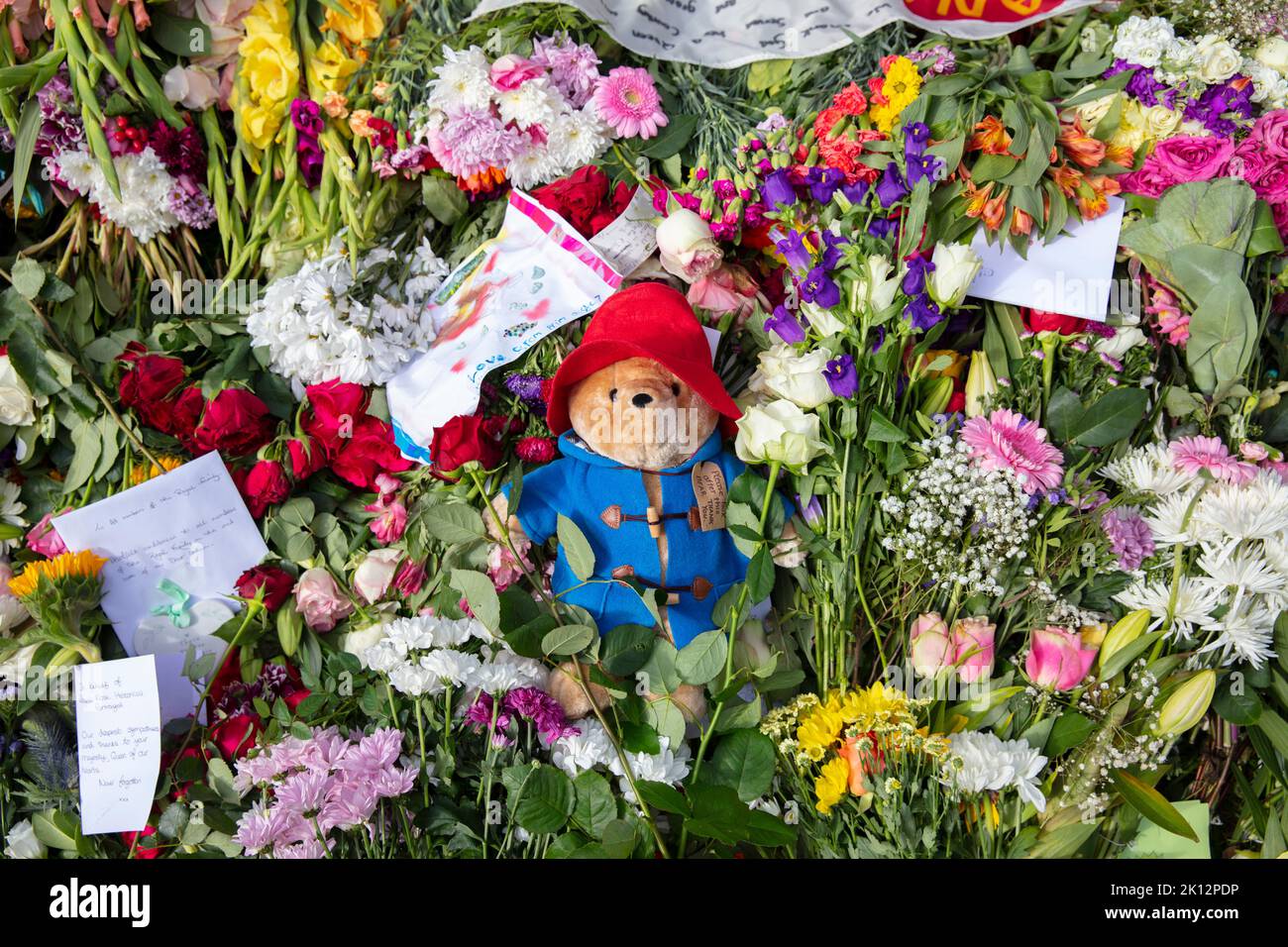 Queen elizabeth ii paddington bear Banque de photographies et d’images ...