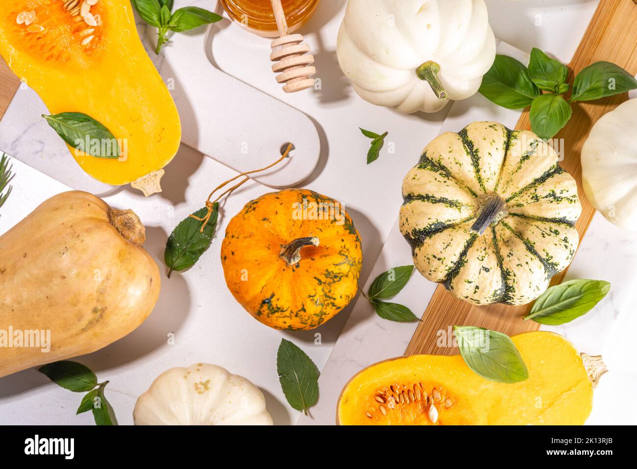 Fond de cuisson de citrouilles de différentes tailles, types et ... Fond de cuisson de citrouilles de différentes tailles, types et ...