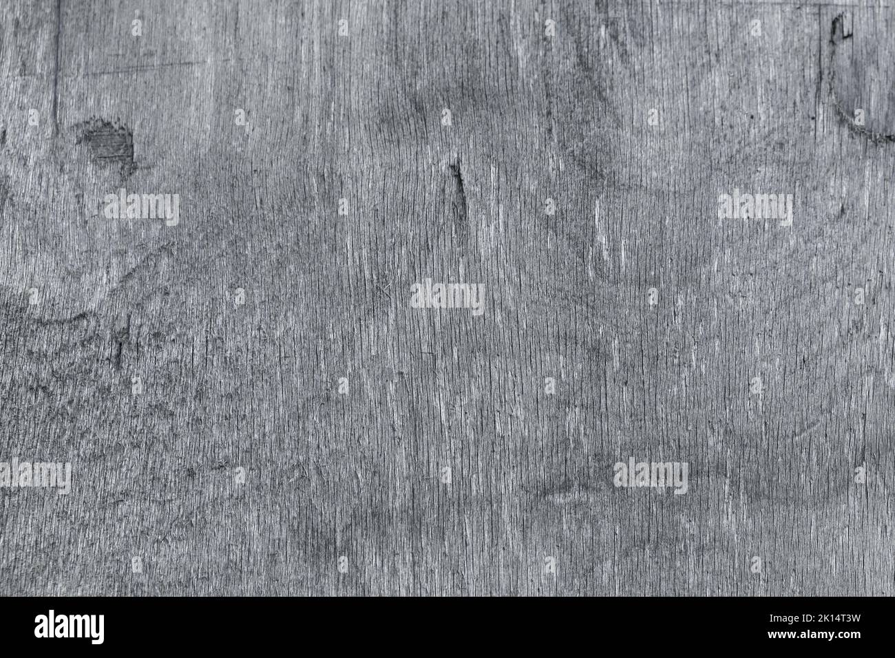 La texture du contreplaqué gris. La texture de la surface lisse du ...