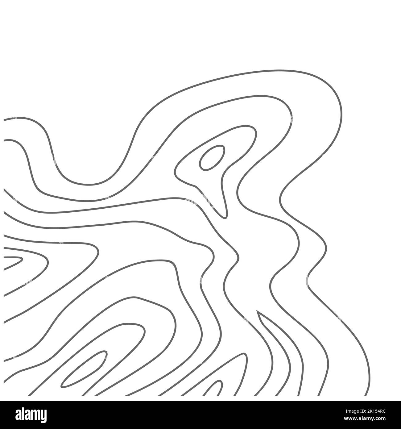 Topographie vectorielle des contours gris. Illustration vectorielle de ...