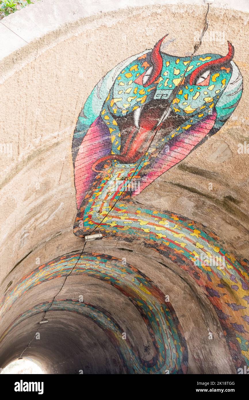 Graffiti de serpent Banque de photographies et d’images à haute ...