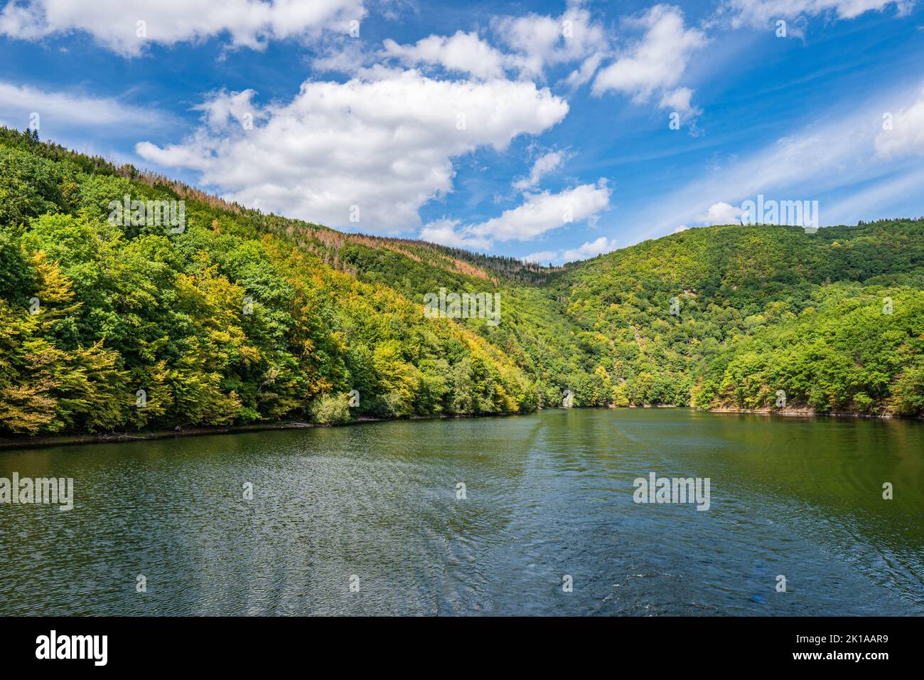 Le lac Rursee, au milieu du parc national de l'Eifel, entouré de ...