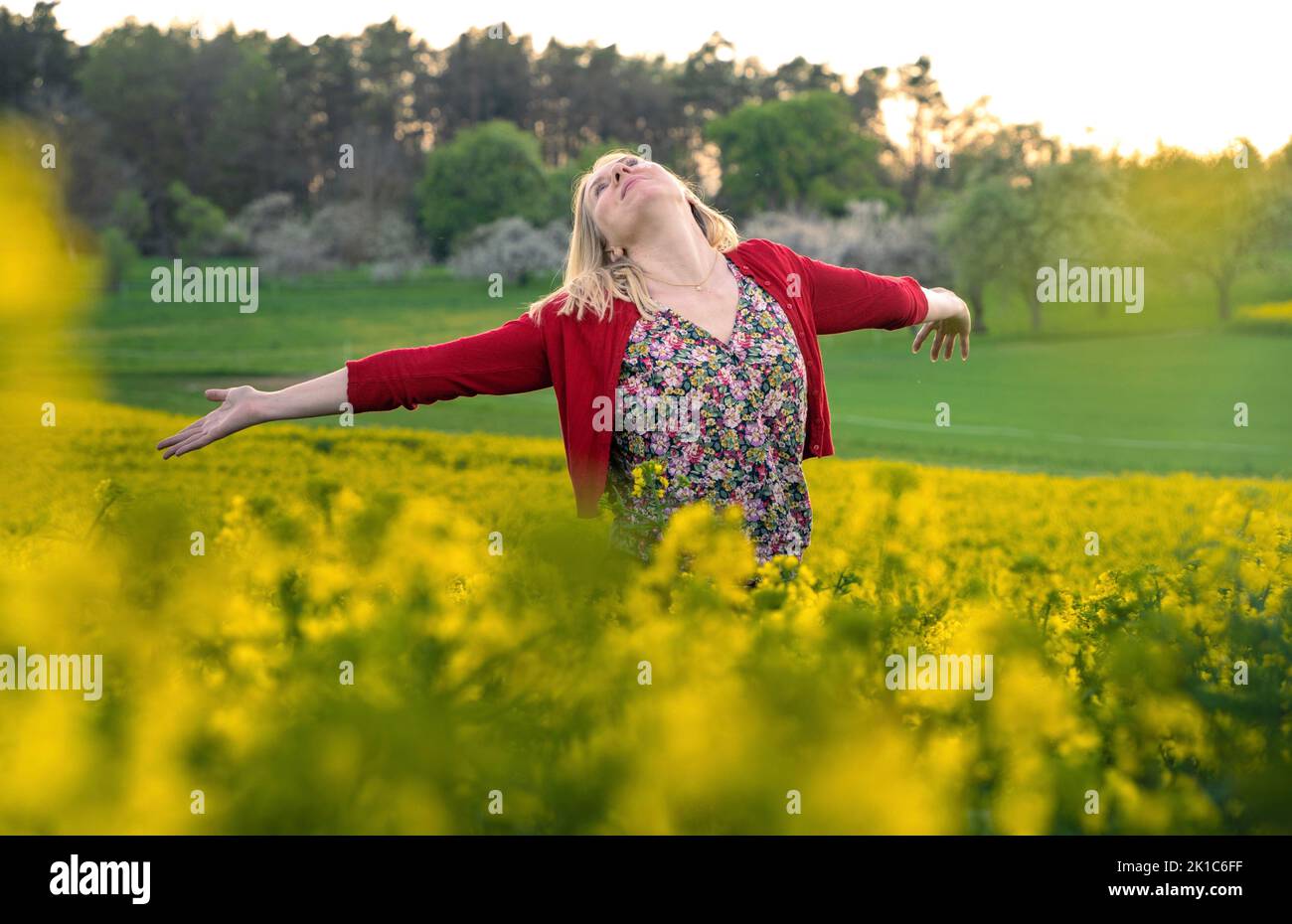 Femme heureuse dans le champ de viol au coucher du soleil, Forêt Noire ...