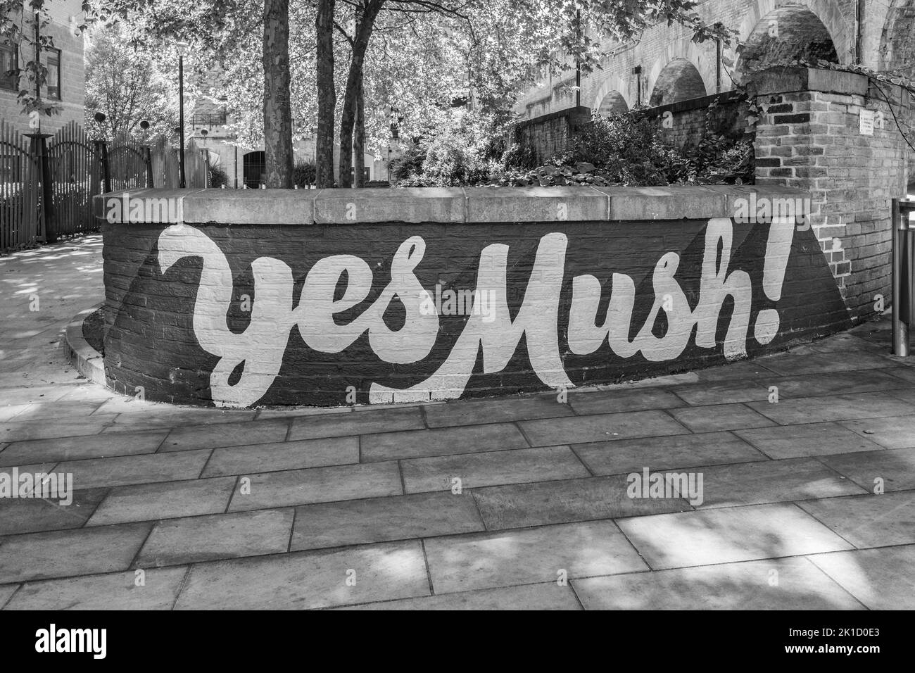 Graffiti featuring the phrase yes mush Banque de photographies et d ...