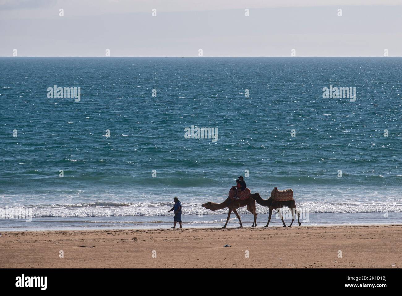 Salee salé maroc Banque de photographies et d’images à haute résolution ...