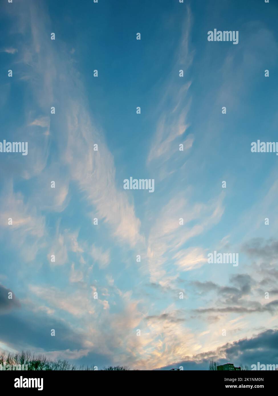 Des nuages de plumes en forme d'ange sont visibles dans le ciel. La ...
