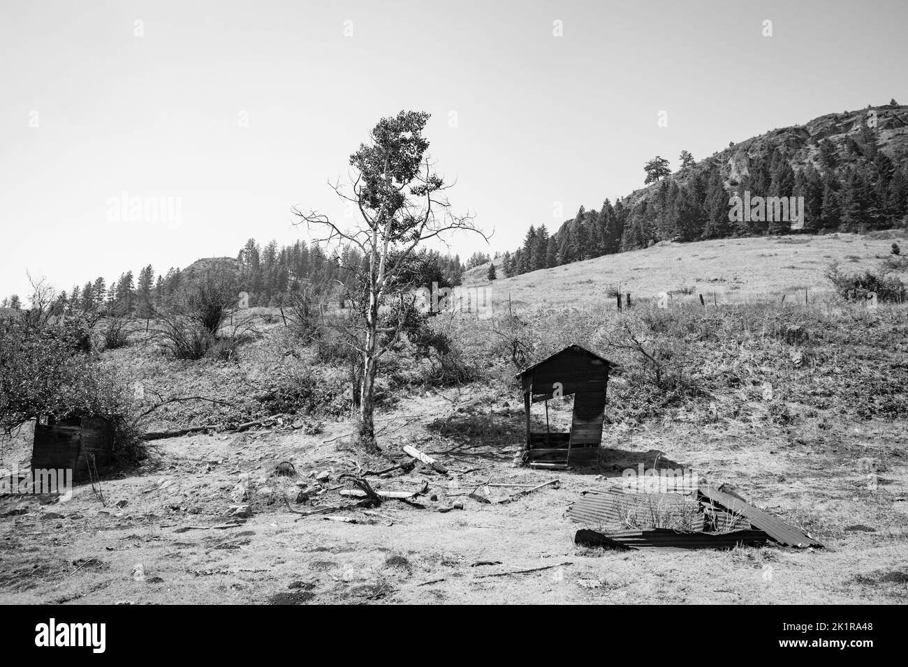Végétation de colline Banque d'images noir et blanc - Alamy