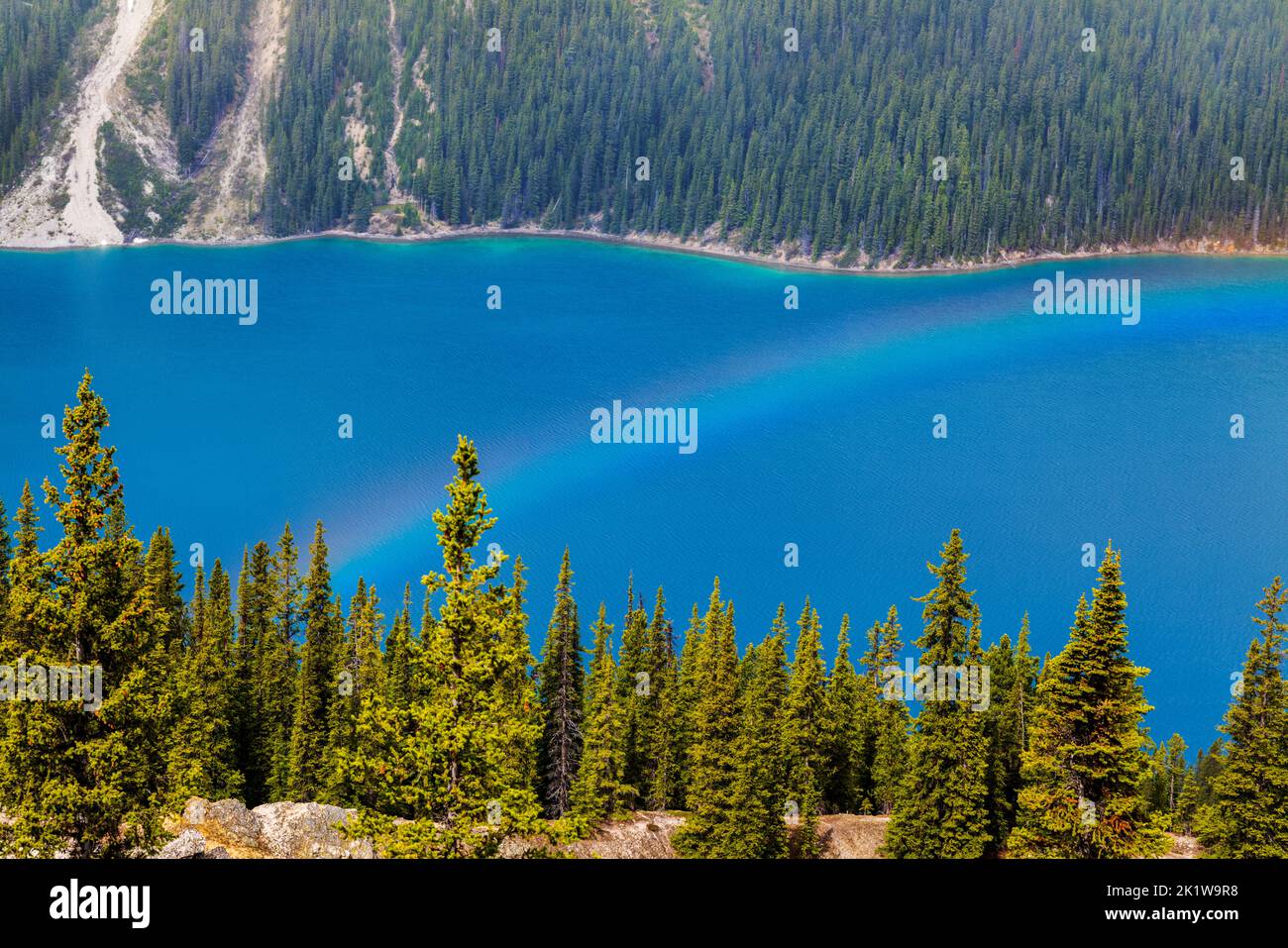 Parc national du lac peyto banff Banque de photographies et d’images à ...