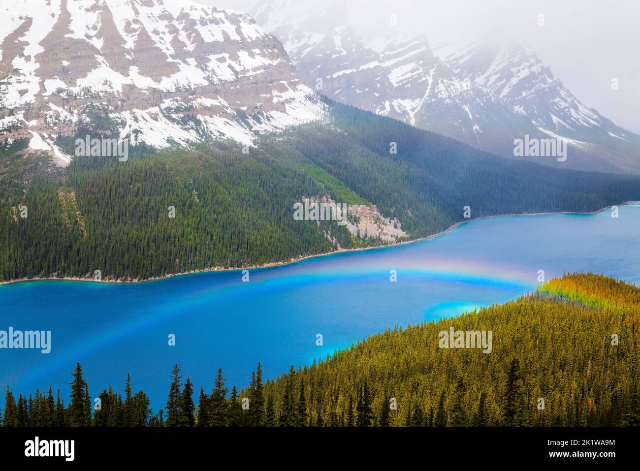 Parc national du lac peyto banff Banque de photographies et d’images à ...
