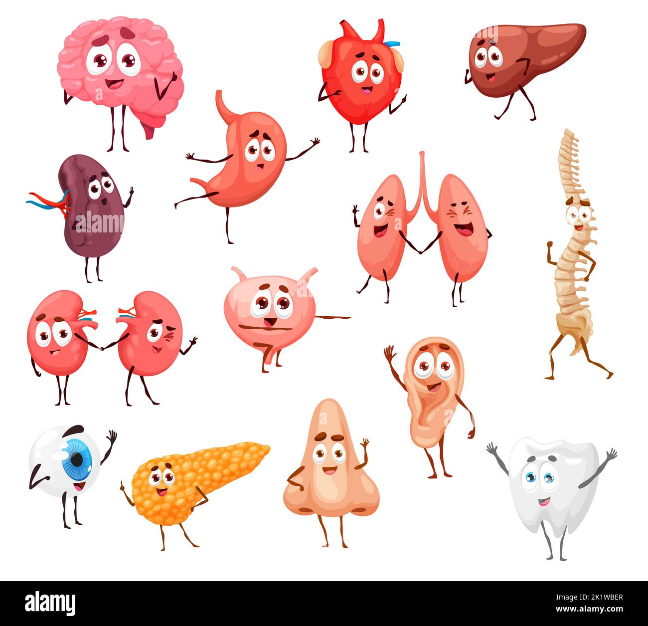 Personnages d'organes internes de corps humain de dessin animé, joli ...