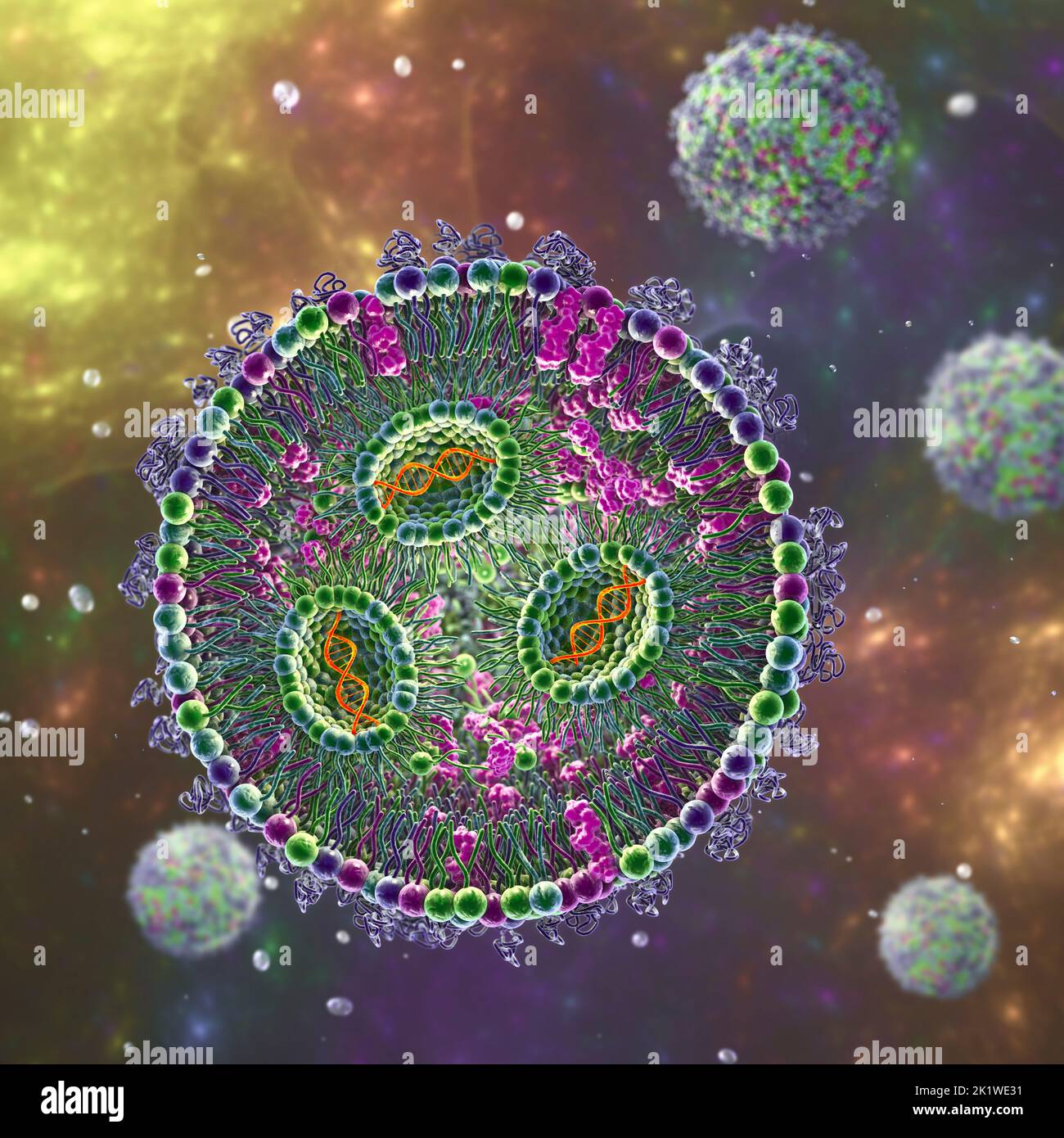 Nanoparticle drug delivery Banque de photographies et d’images à haute ...